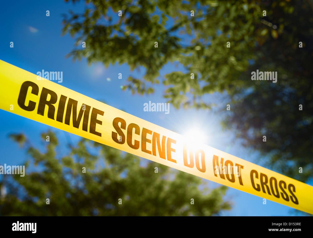 Crime tree hi-res stock photography and images - Alamy