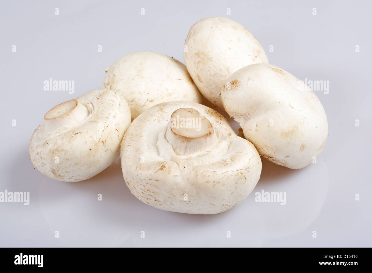 Button mushrooms, photo on the white background Stock Photo - Alamy
