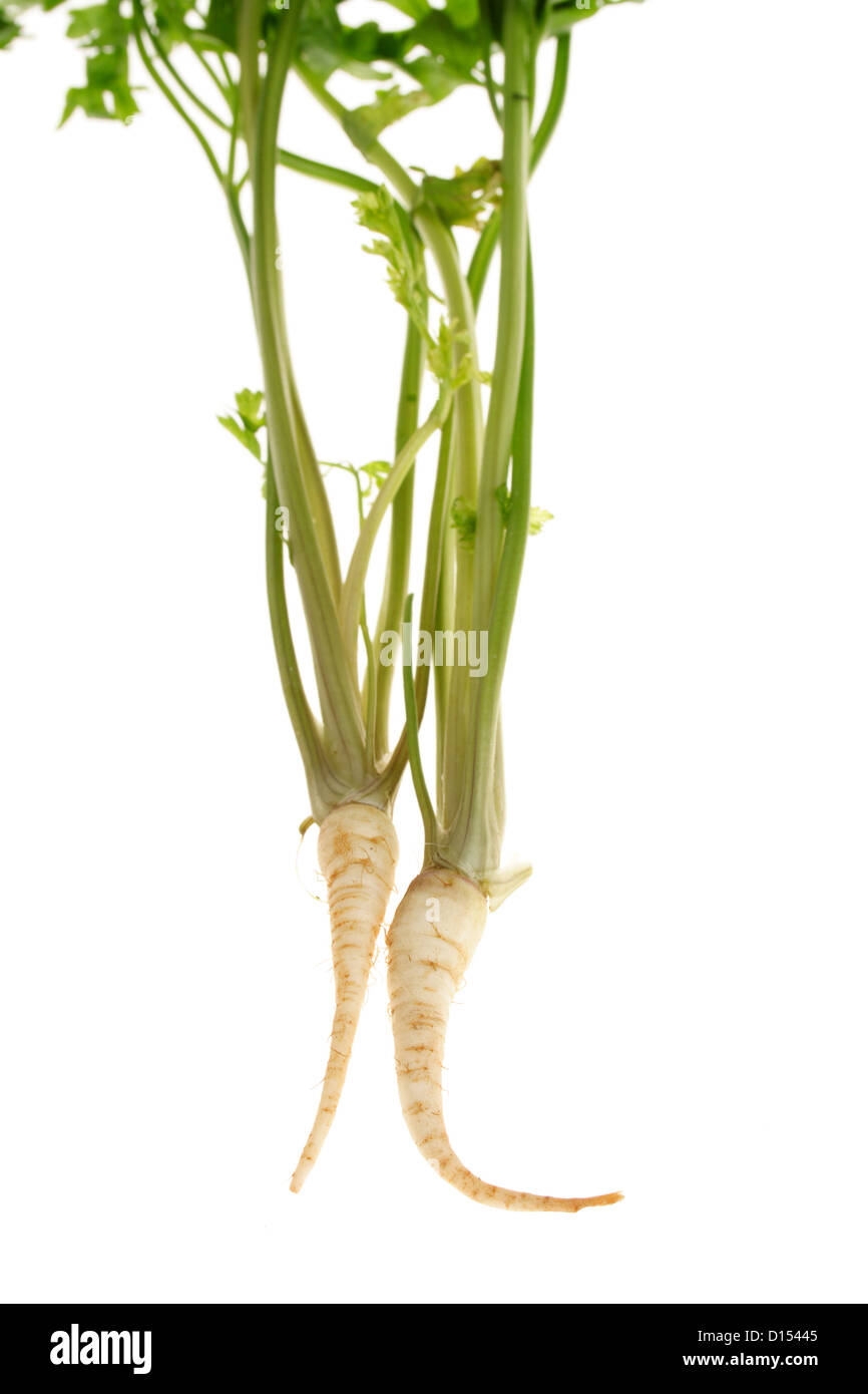 Foodgroup hi-res stock photography and images - Alamy