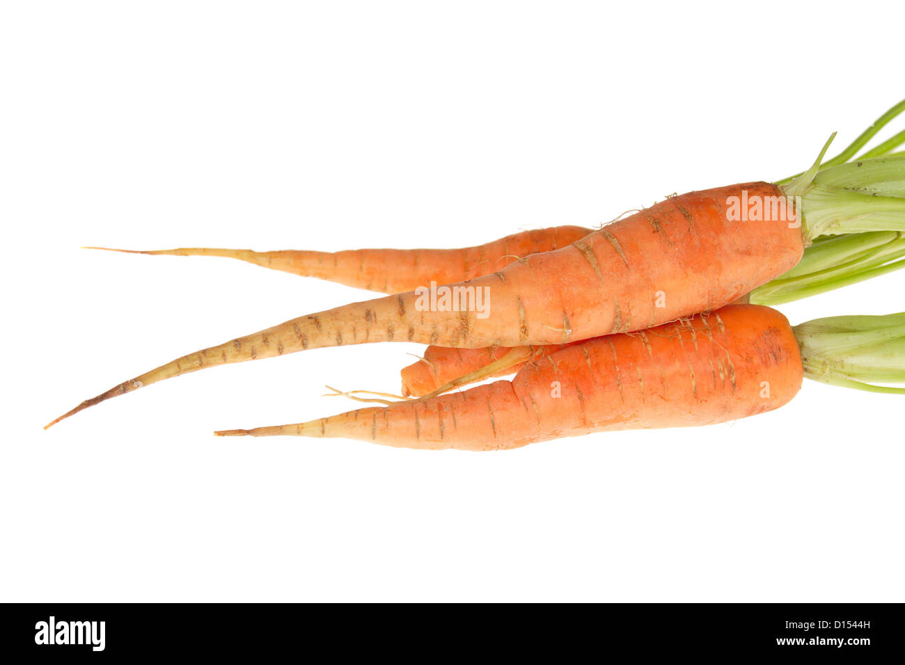 Photo carrot hi-res stock photography and images - Alamy