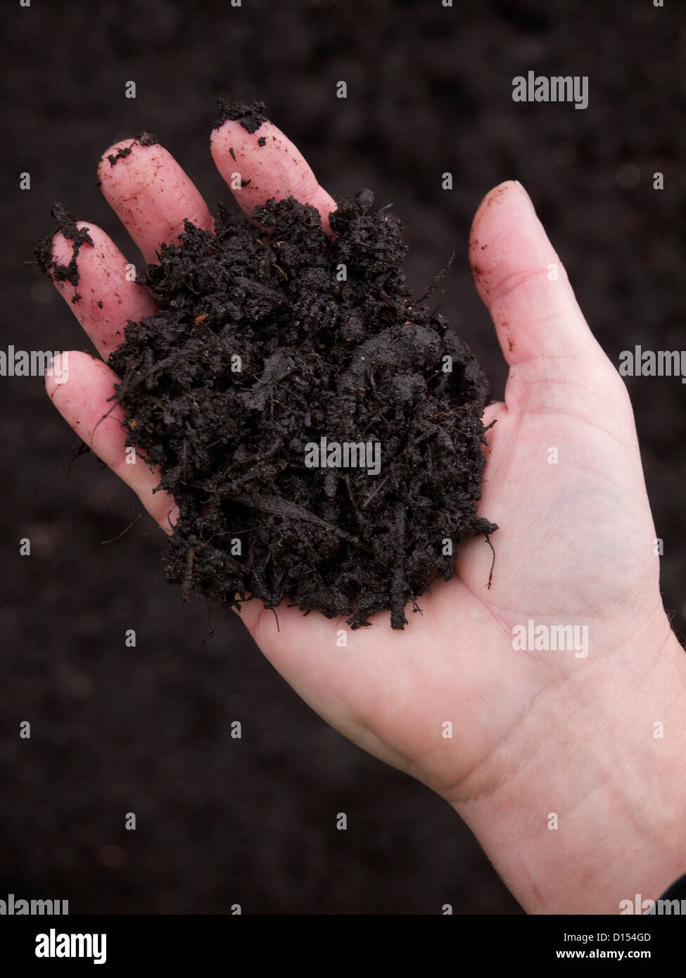 Male hand holding compost material made from biological household waste ...