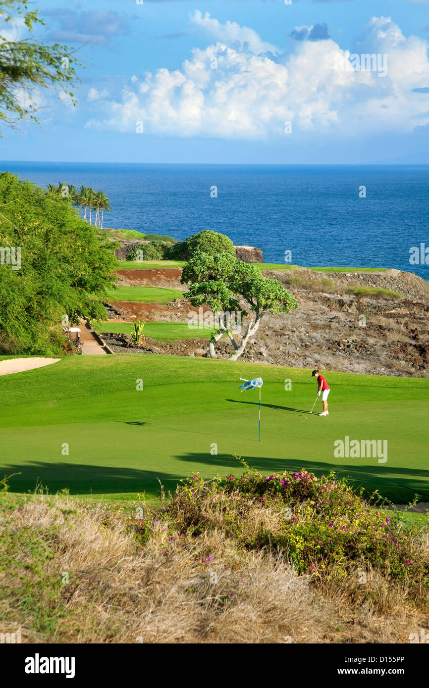 Hawaii, Lanai, Woman Putting On Green At The Challenge At Manele Golf ...