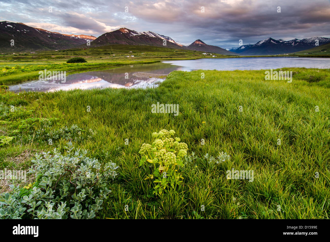 Dalvik image hi-res stock photography and images - Alamy