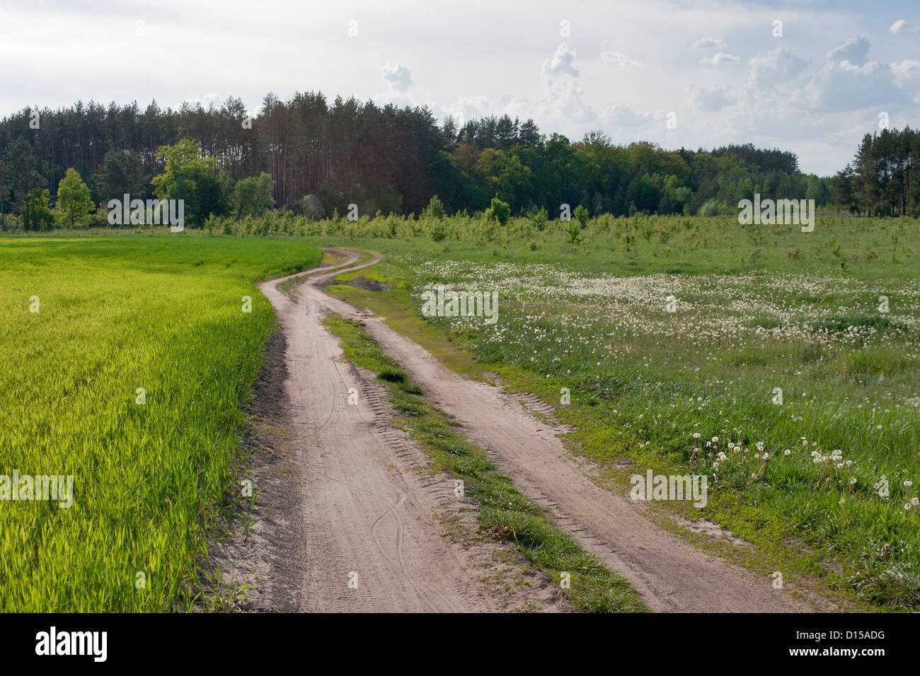 Country road through the fields. Ukraine Stock Photo - Alamy