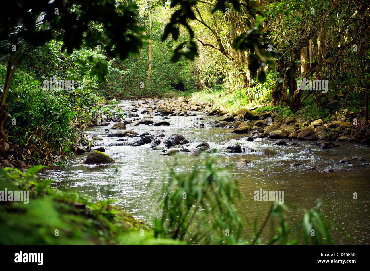 Hawaii, Kauai, Kapahi, Kapahi Stream Stock Photo - Alamy