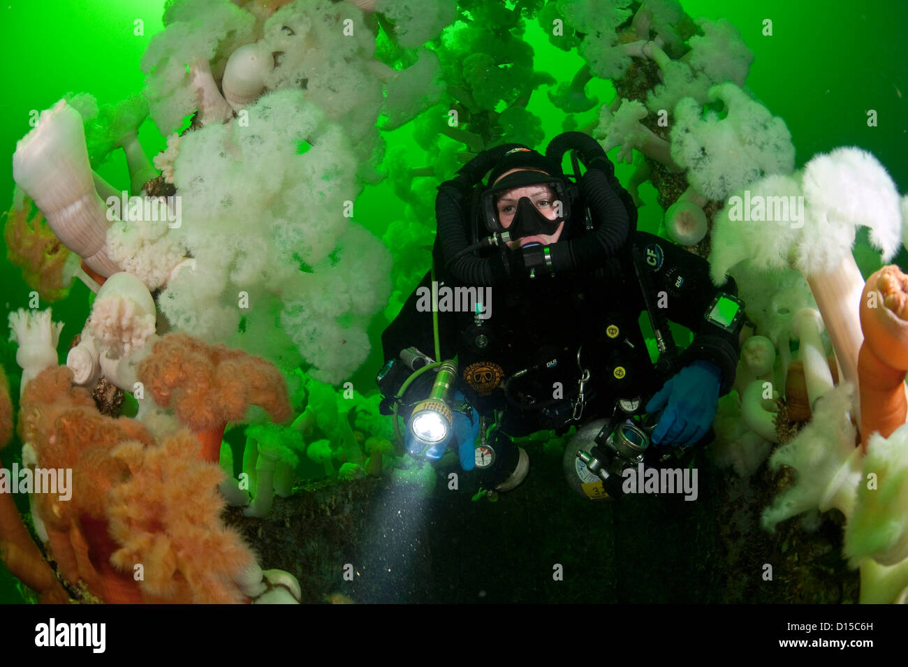 The wreck of the HMCS Saskatchewan is a popular destination for scuba ...
