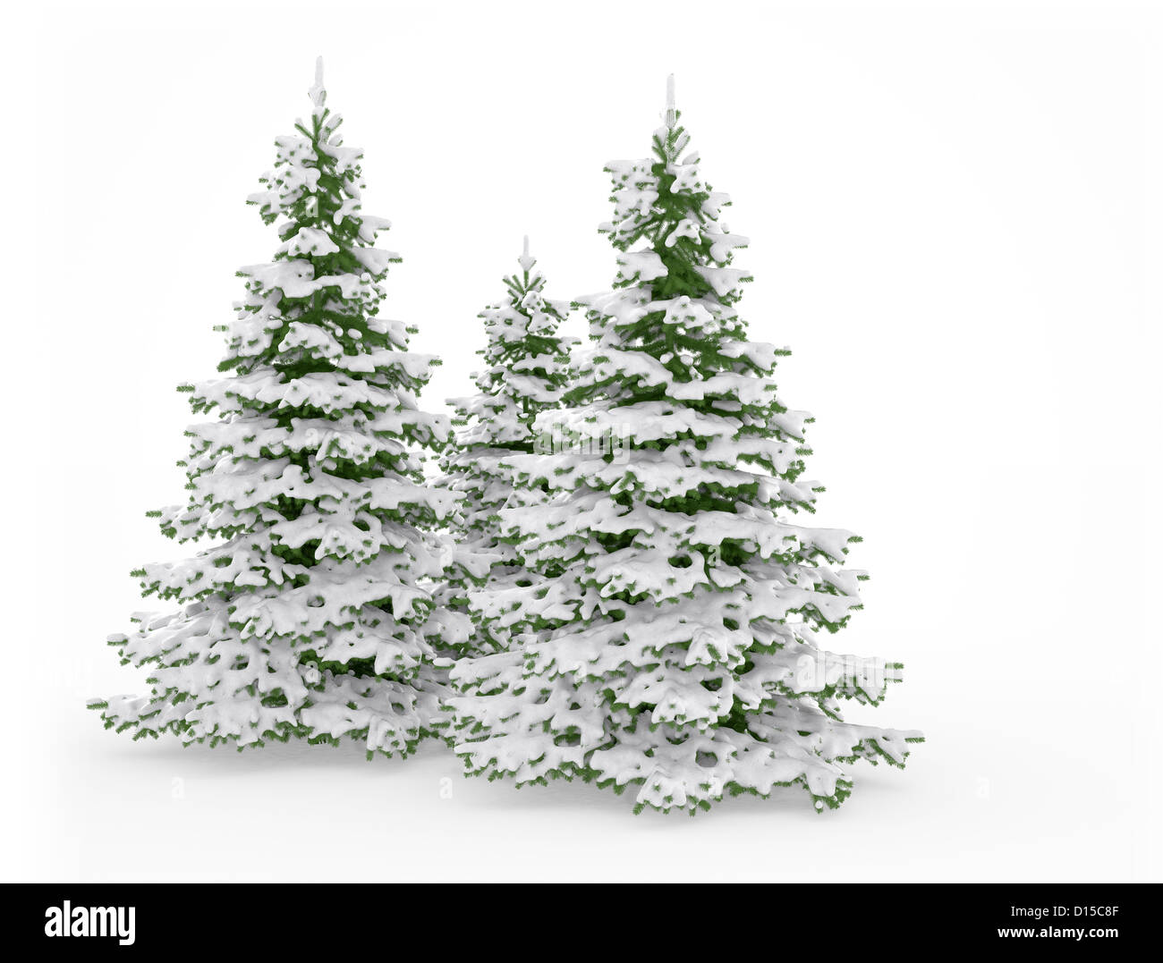 Isolated Christmas trees covered in snow Stock Photo - Alamy
