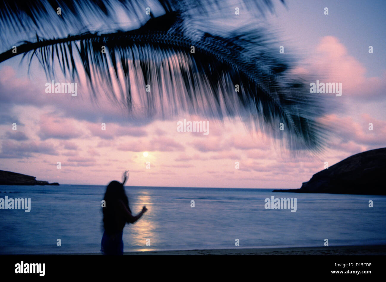 Hawaii, Oahu, Moonrise At Hanauma Bay, Hula Dancer And Palm Frond ...