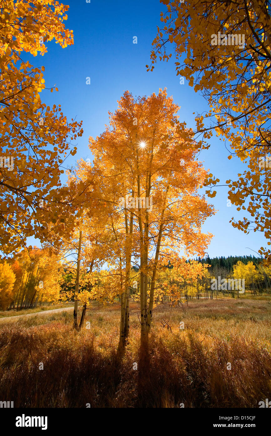 Colorado, Near Steamboat Springs, Buffalo Pass, Sun Shining Through ...