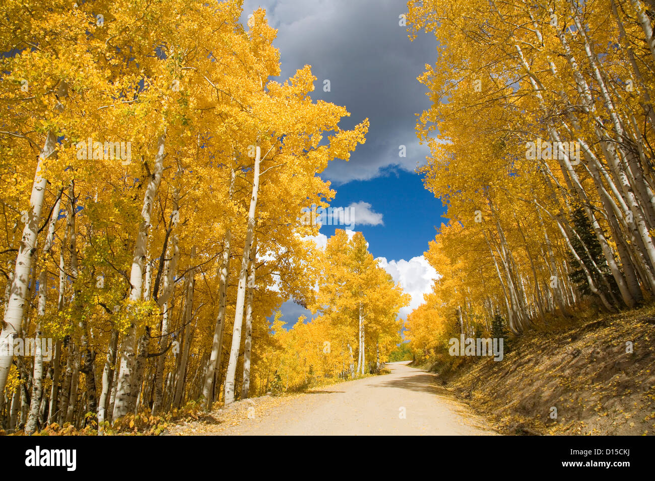 Buffalo pass hi-res stock photography and images - Alamy