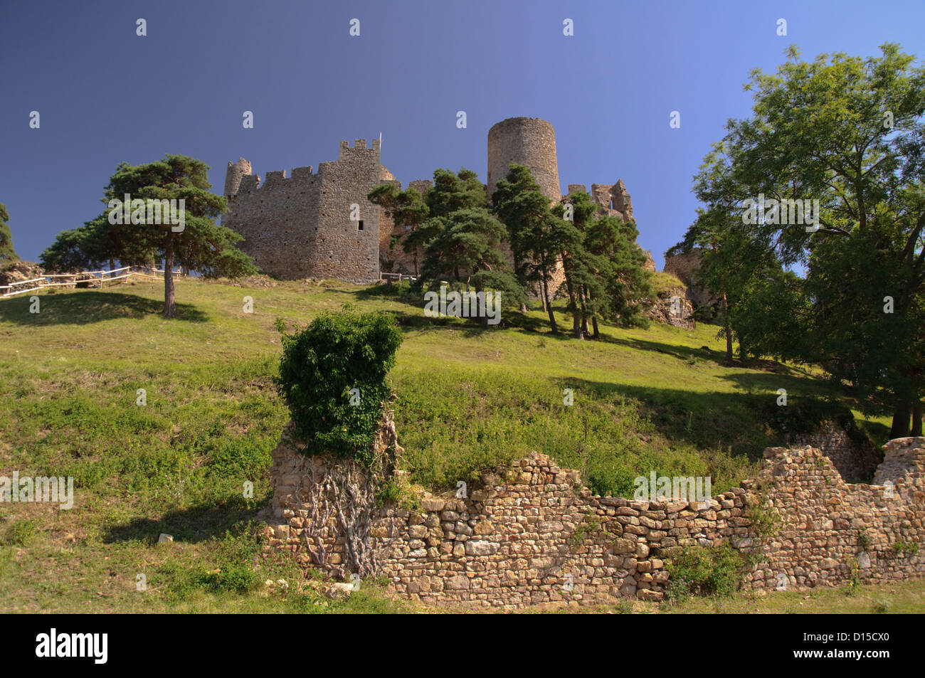 Château de Couzan, France Stock Photo - Alamy