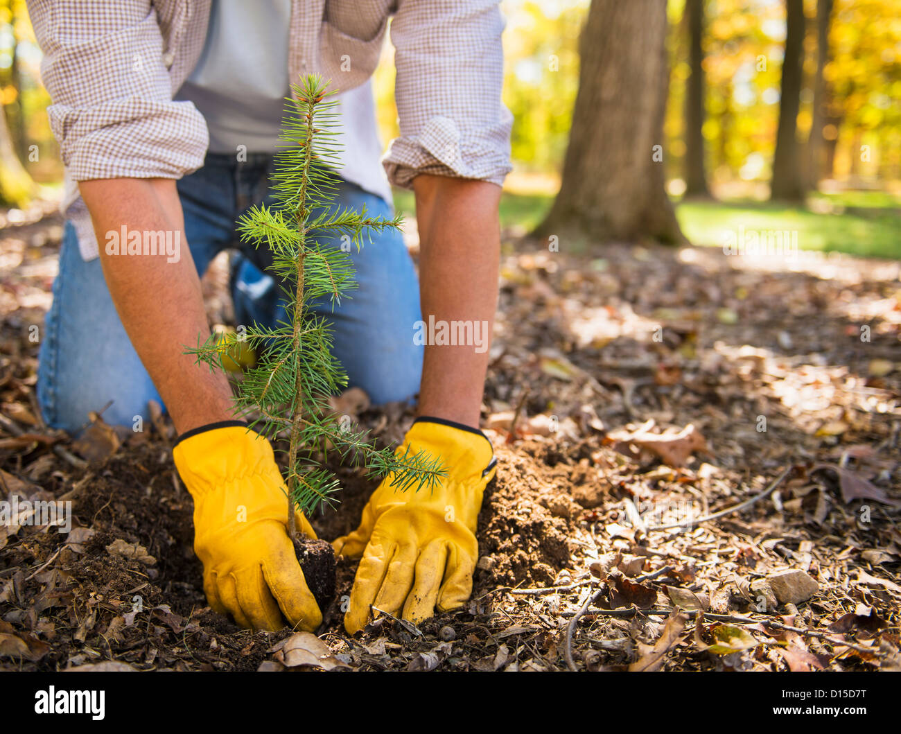 New jersey tree planting hi-res stock photography and images - Alamy