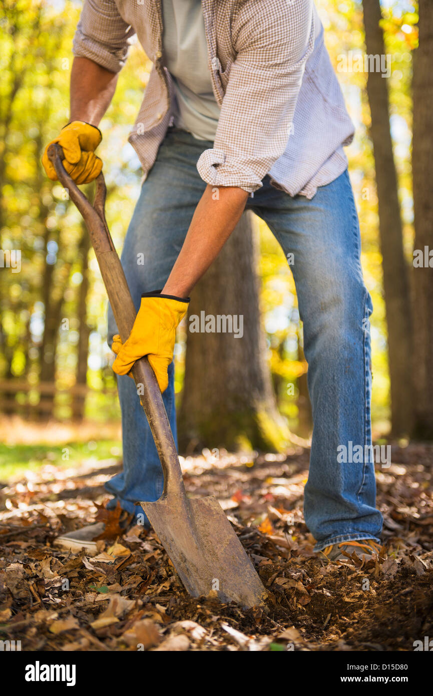 USA, New Jersey, Mendham, Man planting evergreen tree Stock Photo - Alamy
