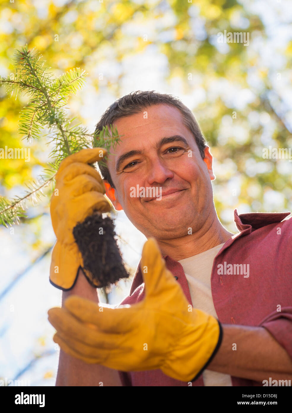 USA, New Jersey, Mendham, Portrait of man holding tree seedling Stock ...