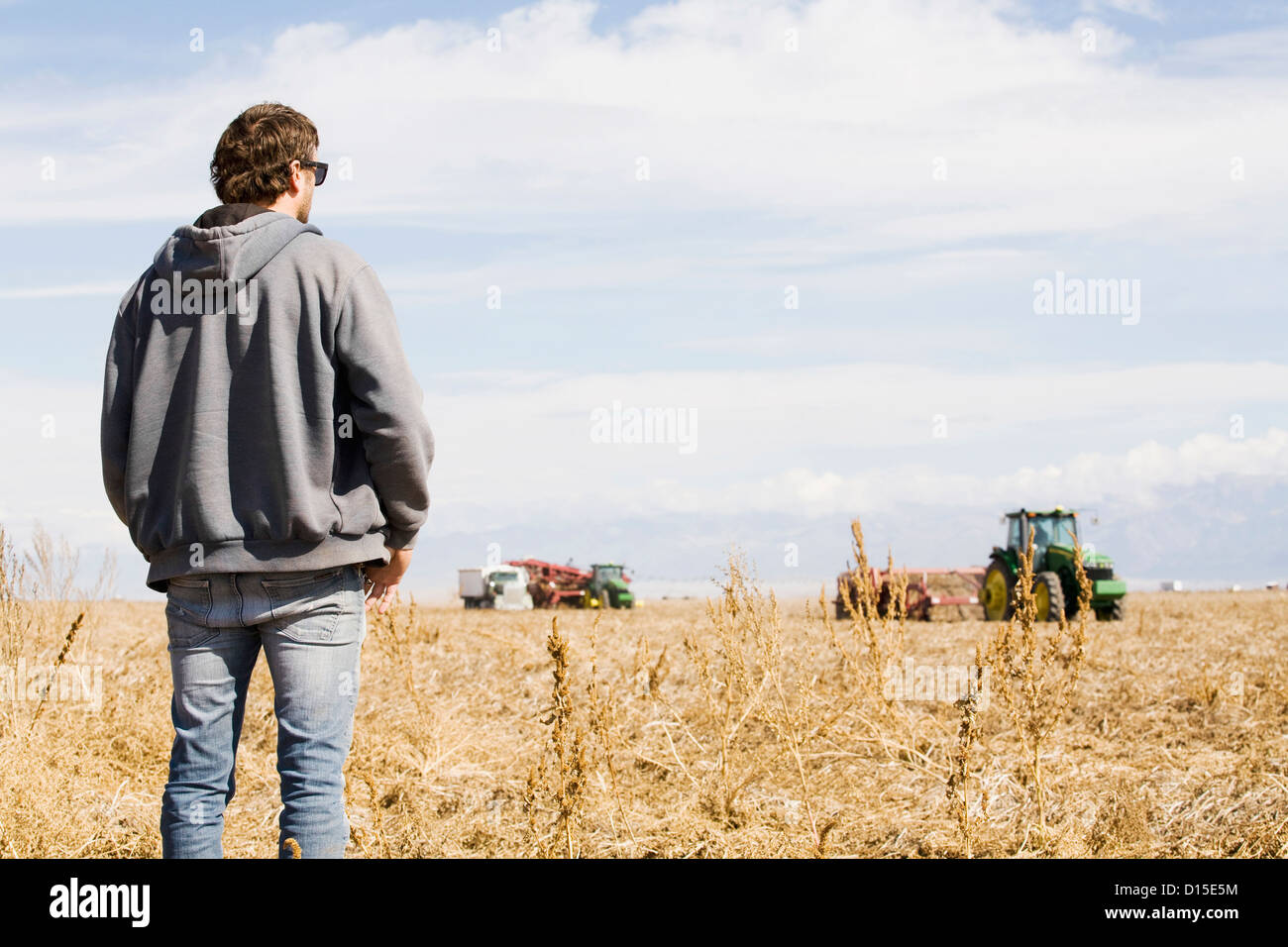 USA, Colorado, Farmer looking at field during harvest Stock Photo - Alamy
