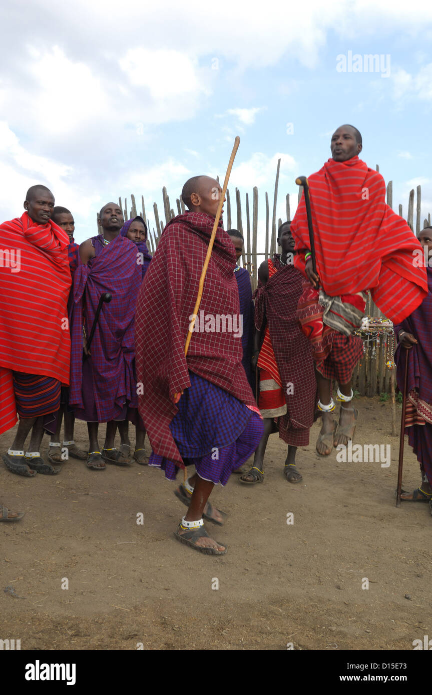 Masai tribesmen dancing in their village near Ngorongoro Crater ...