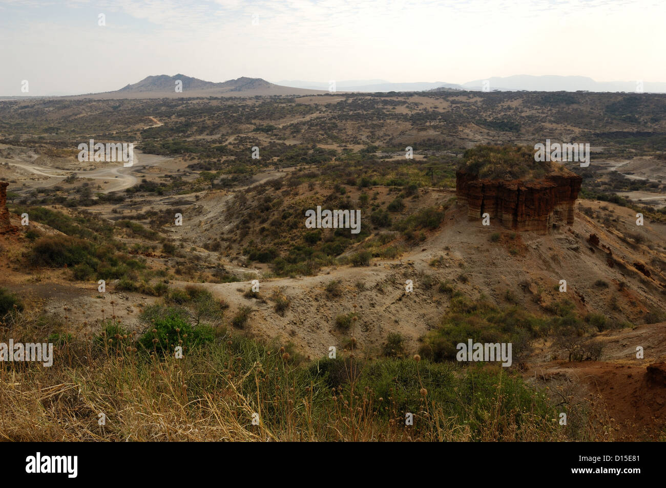Olduvai Gorge Tanzania Africa Stock Photo - Alamy