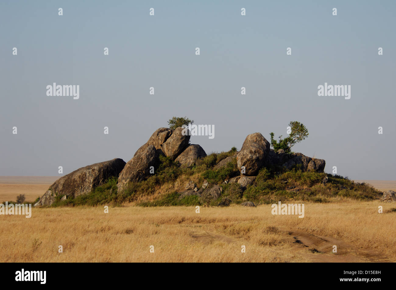 Kopje rocks in serengeti hi-res stock photography and images - Alamy
