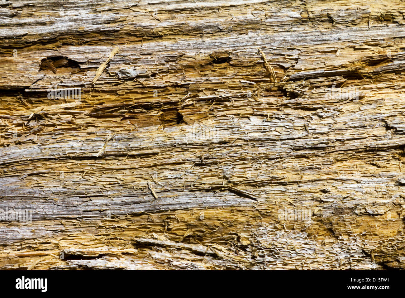 Decaying Wood Textured Background Stock Photo - Alamy