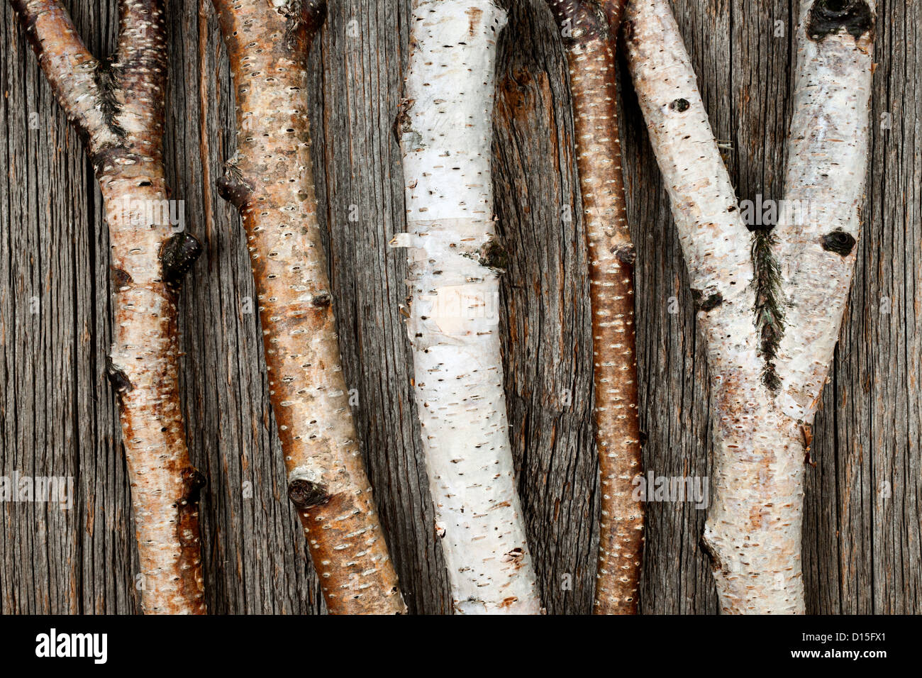 Tree knots hi-res stock photography and images - Alamy