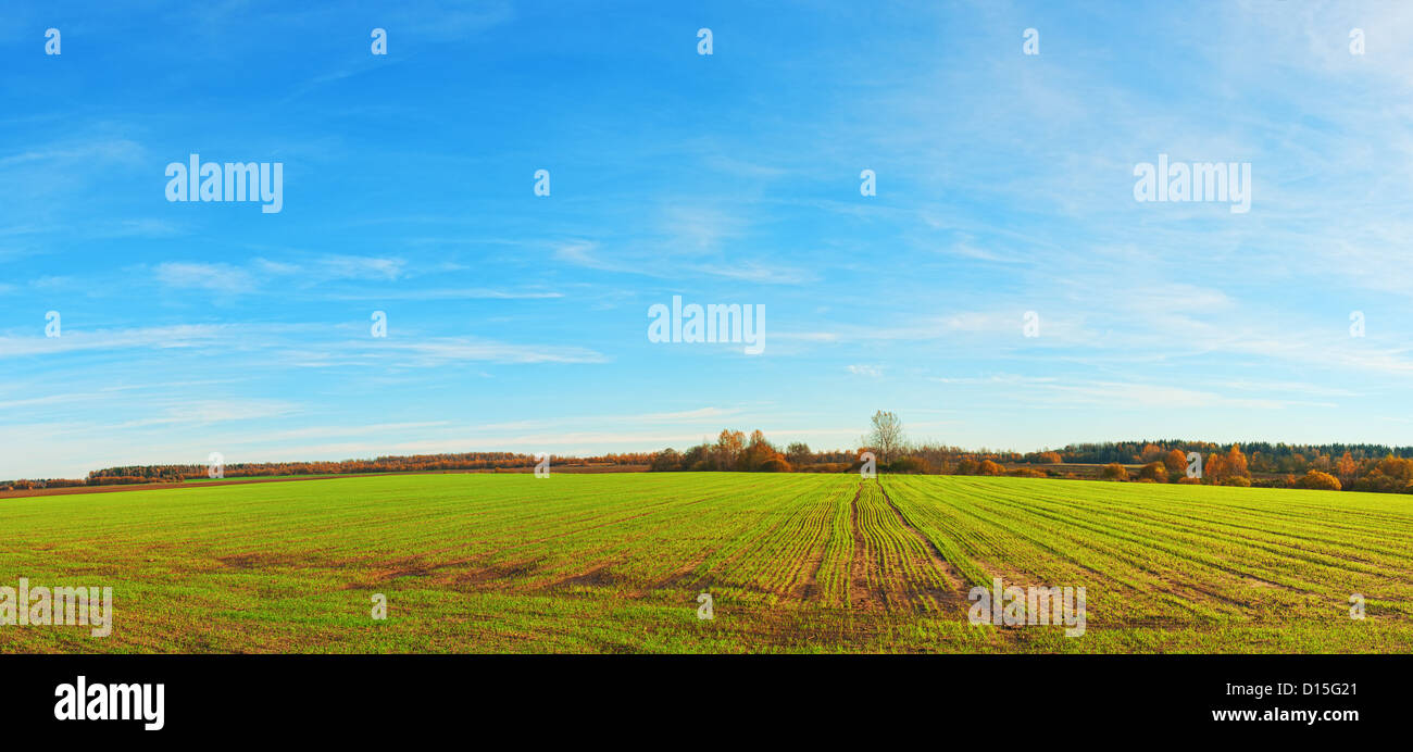 Planting fields door hi-res stock photography and images - Alamy
