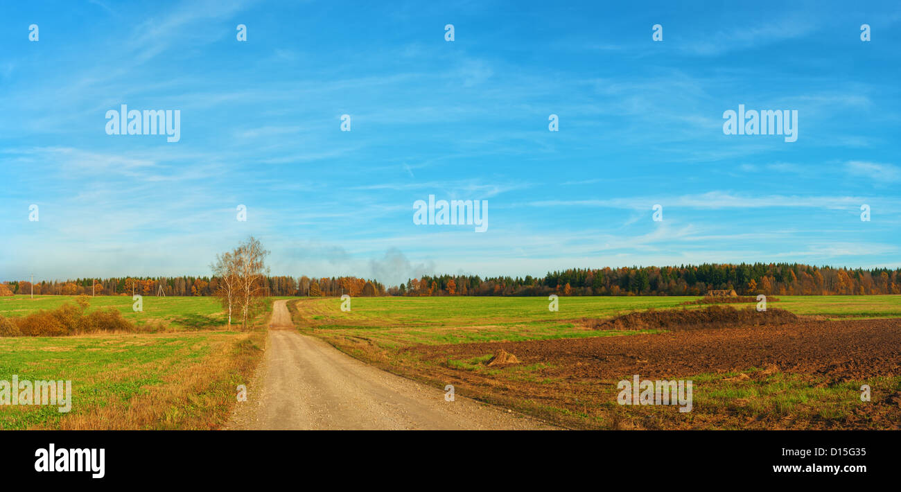 Trunk sandy birch hi-res stock photography and images - Alamy