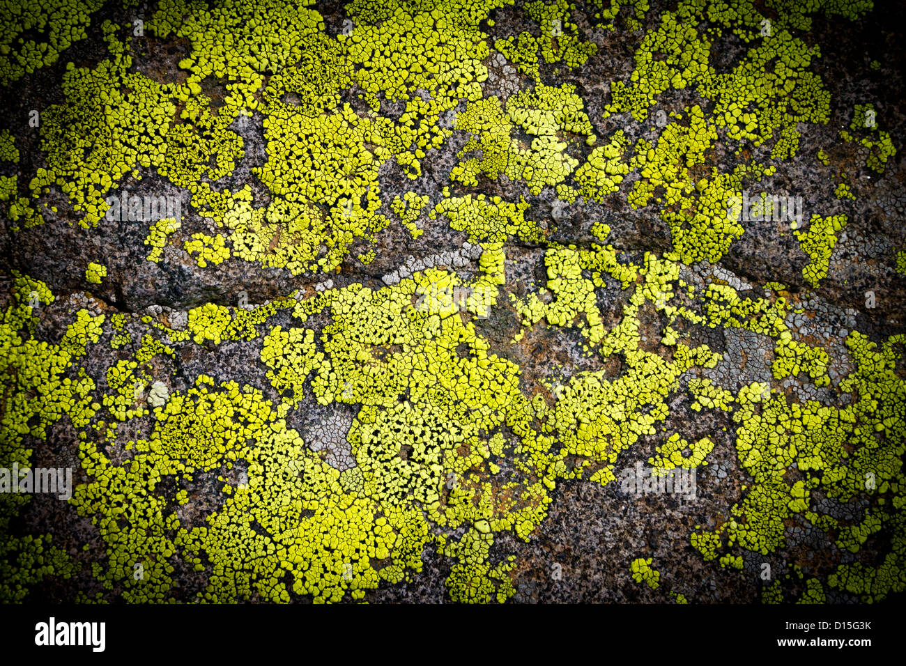 Dark Grungy Rock Organic Background Texture Pattern Stock Photo - Alamy