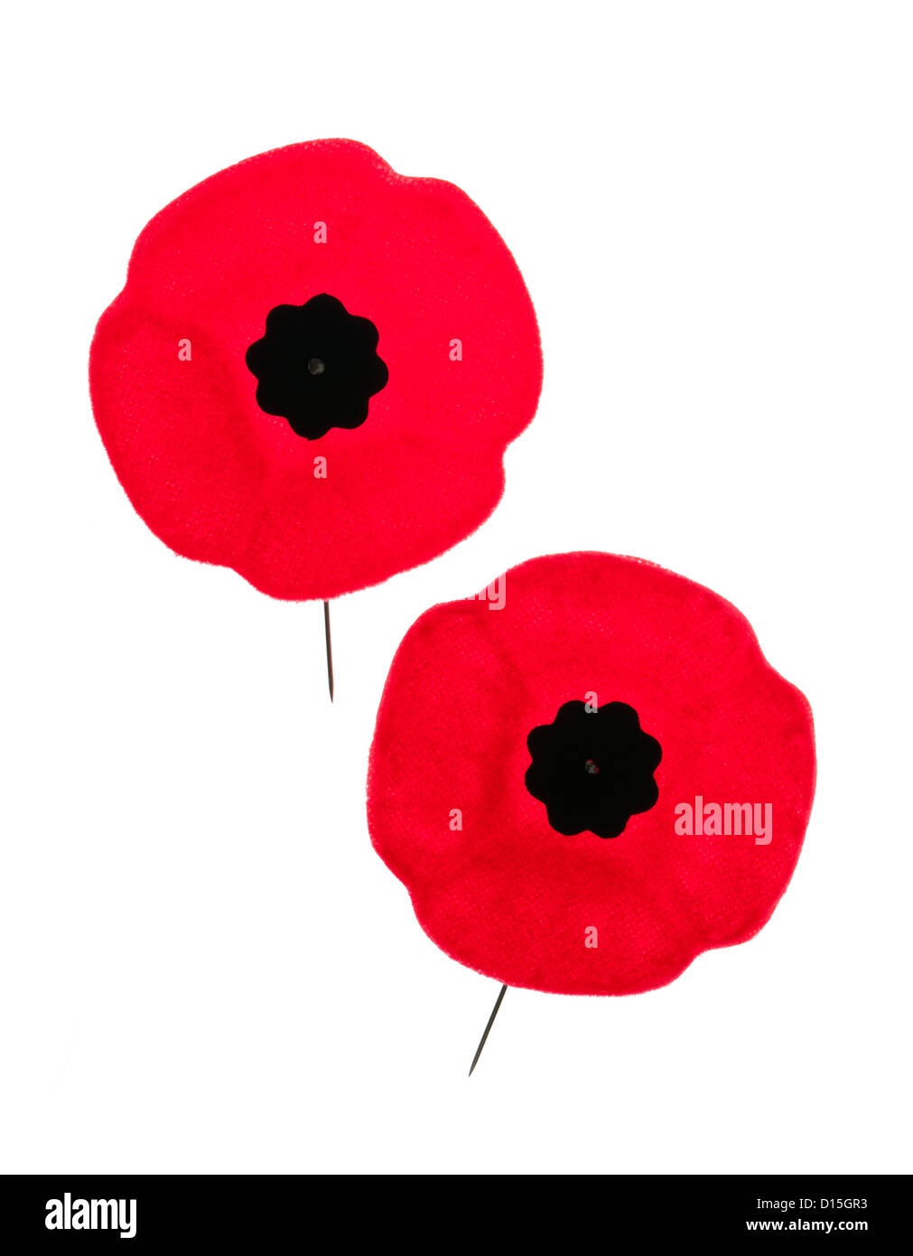 Remembrance Day Poppy Black And White High Resolution Stock Photography ...