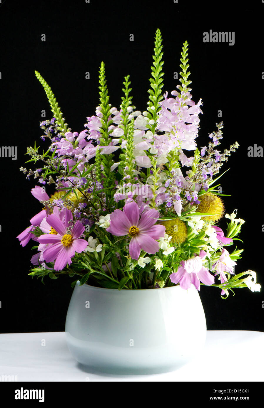 Cosmos flower pot hi-res stock photography and images - Alamy