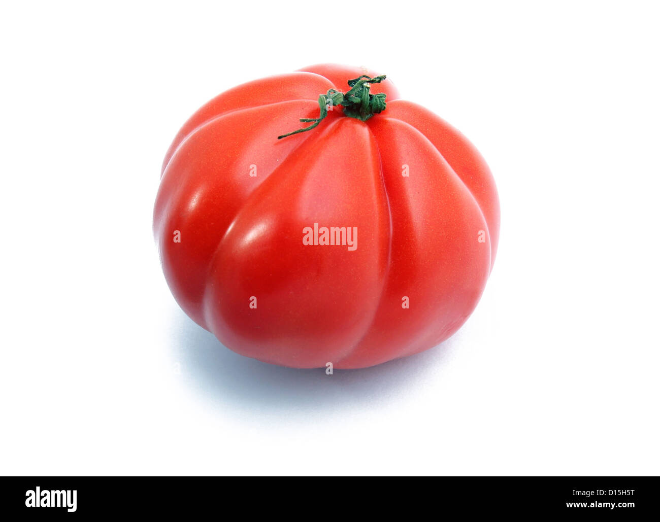 Fresh one tomato on the white background Stock Photo - Alamy