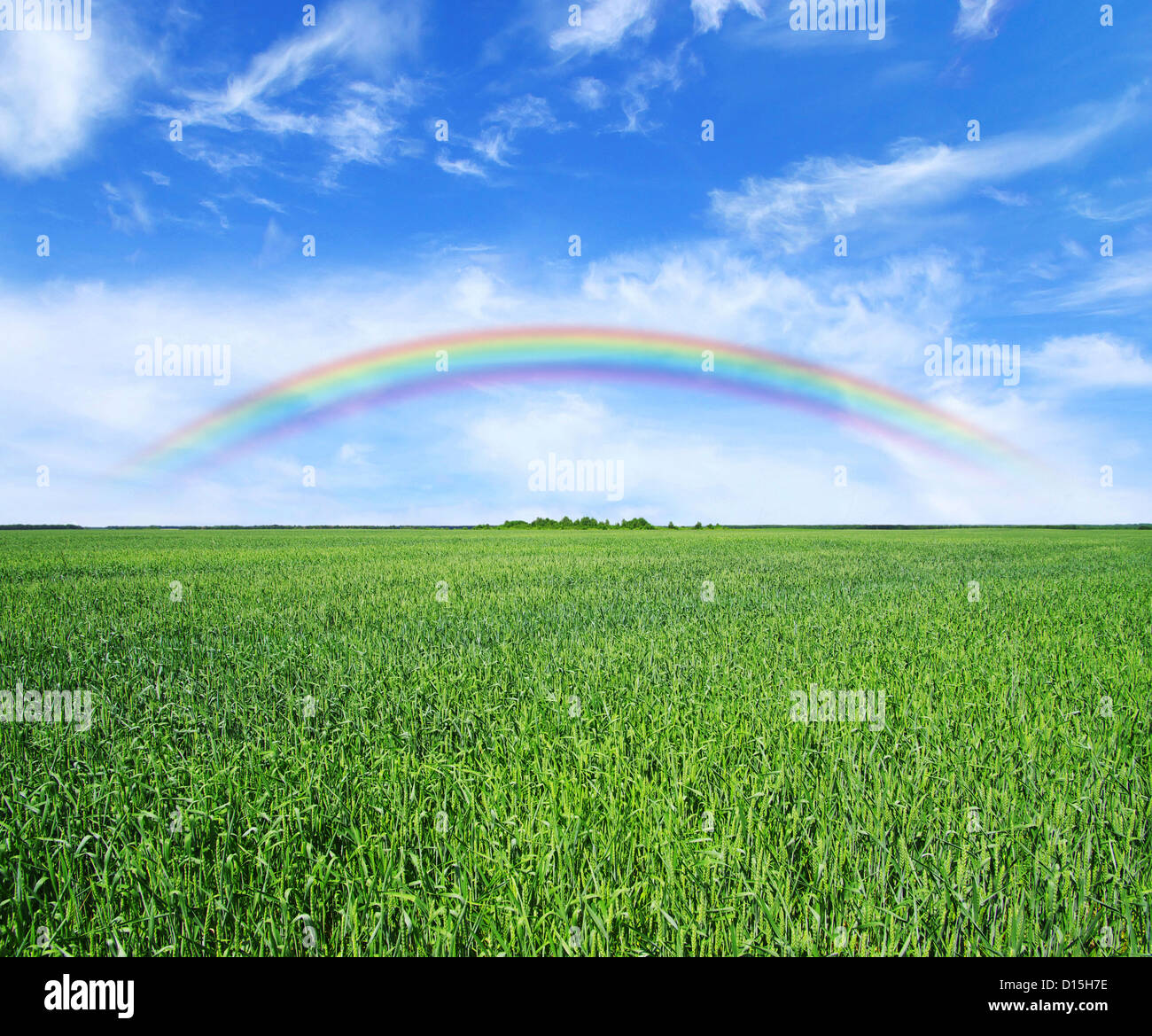 green field and blue sky Stock Photo - Alamy
