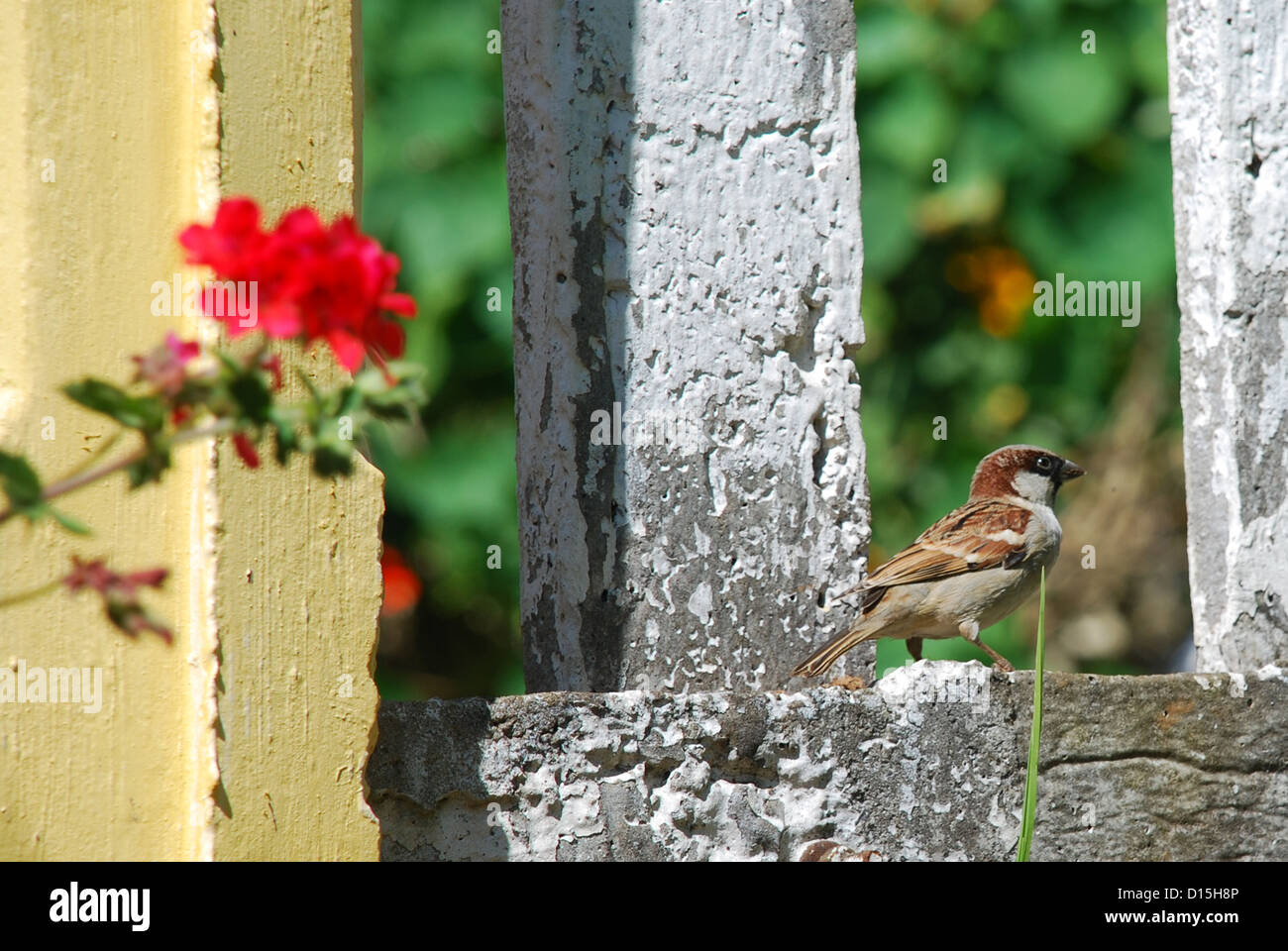 Ultimateshot hi-res stock photography and images - Alamy