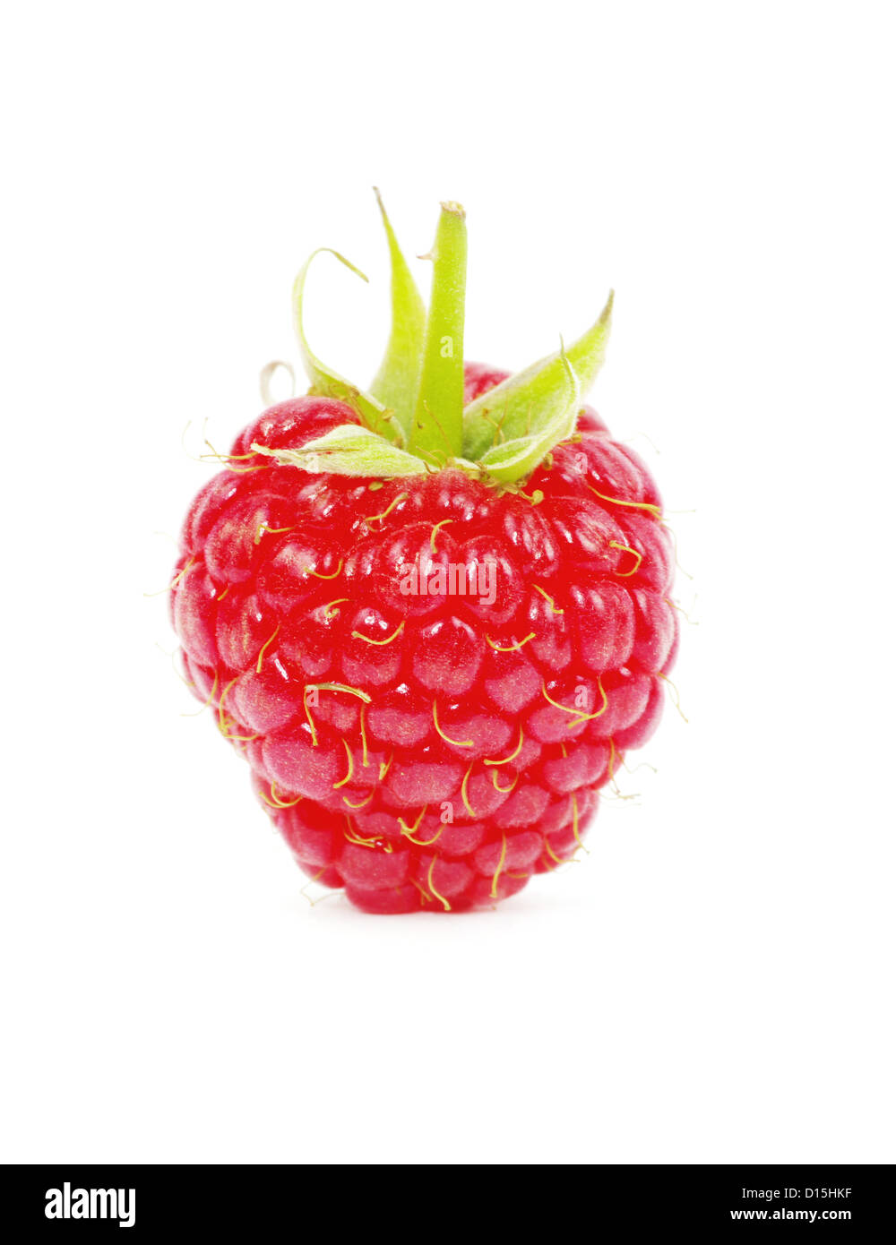 Ripe raspberry isolated on a white background Stock Photo - Alamy