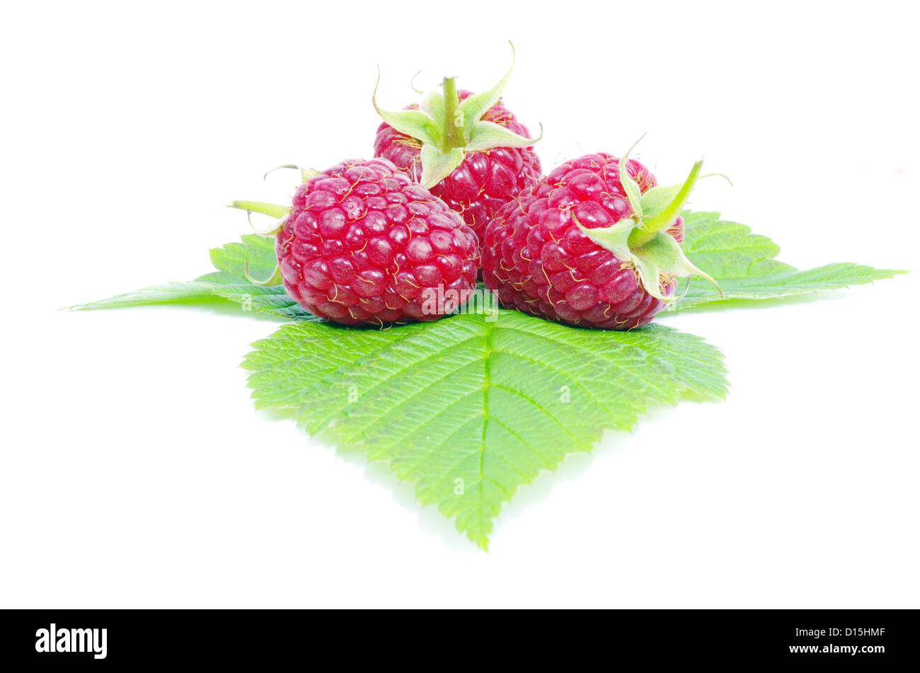 fresh raspberry closeup isolated on white background Stock Photo - Alamy