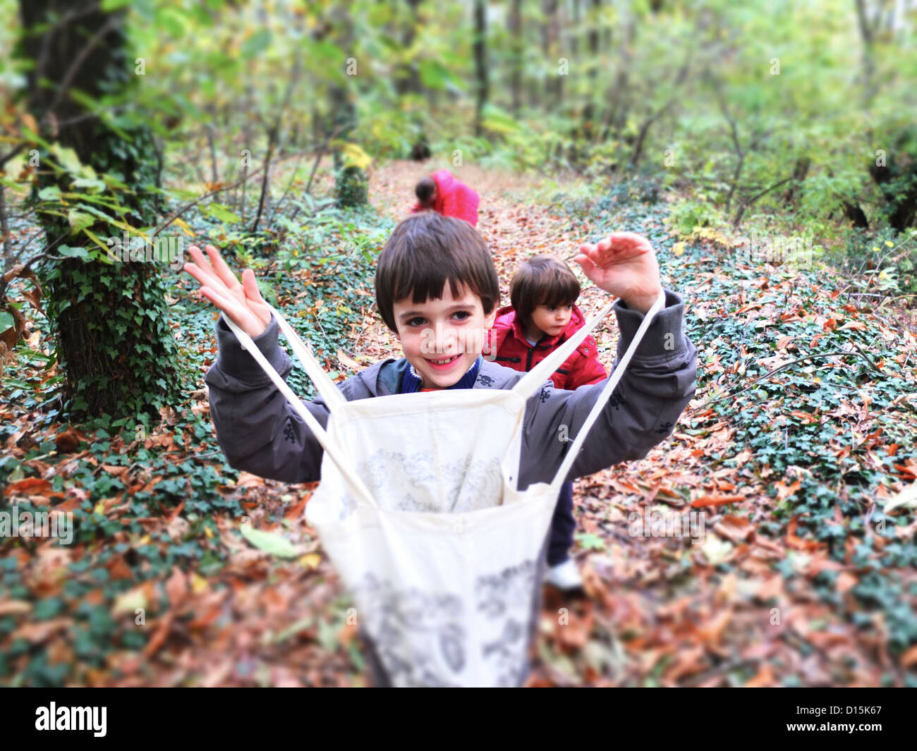 children in the forest at autumn season Stock Photo - Alamy