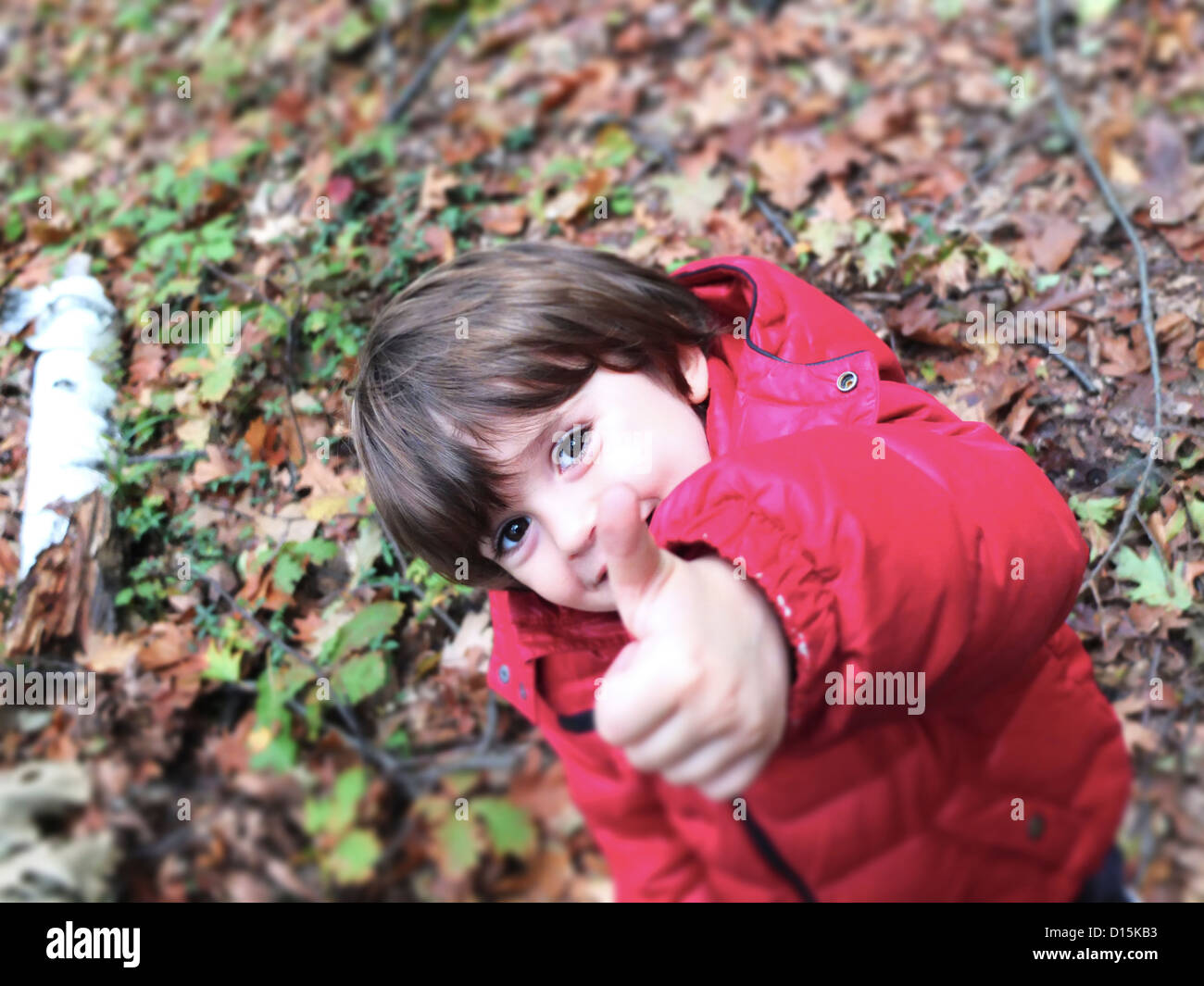 portrait of a child from above in the woods make sign OK Stock Photo ...