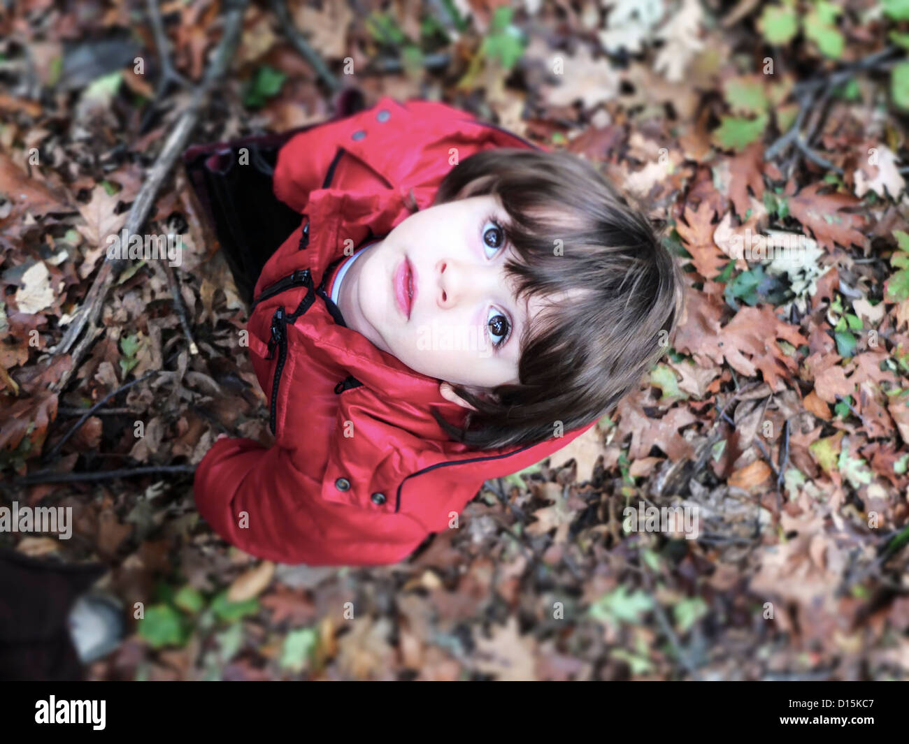portrait of a child from above in the woods Stock Photo - Alamy