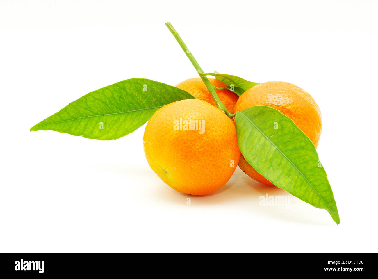 fresh mandarin isolated on white Stock Photo - Alamy