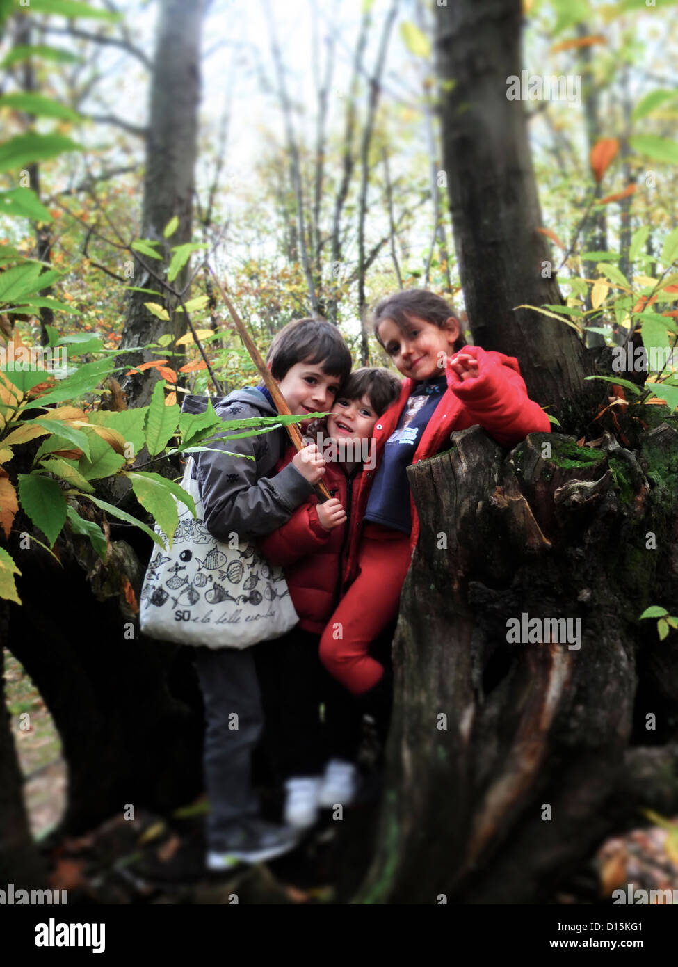 portrait of children in the forest Stock Photo - Alamy