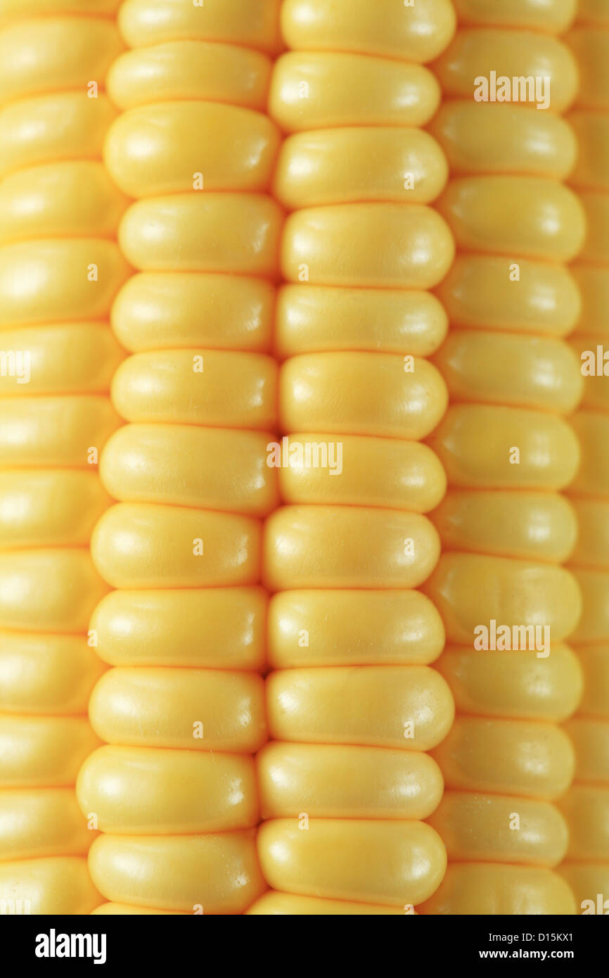 Vertical shot corn plant hi-res stock photography and images - Alamy