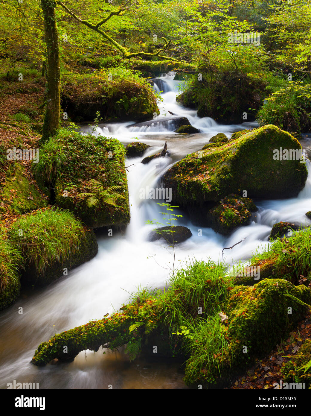 One of the waterfalls in the woods at Kennal Vale nature reserve ...