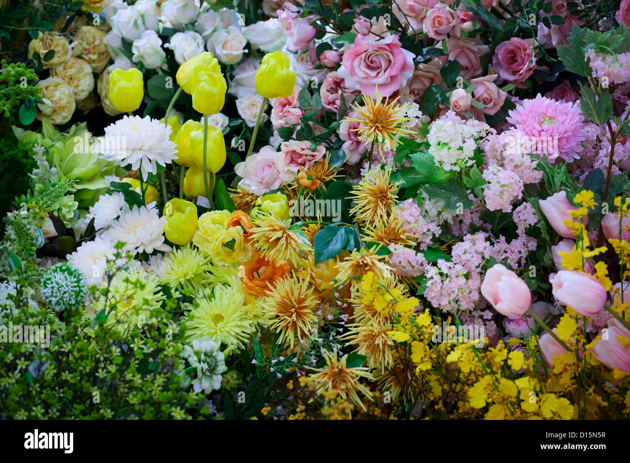 Photo color hi-res stock photography and images - Alamy