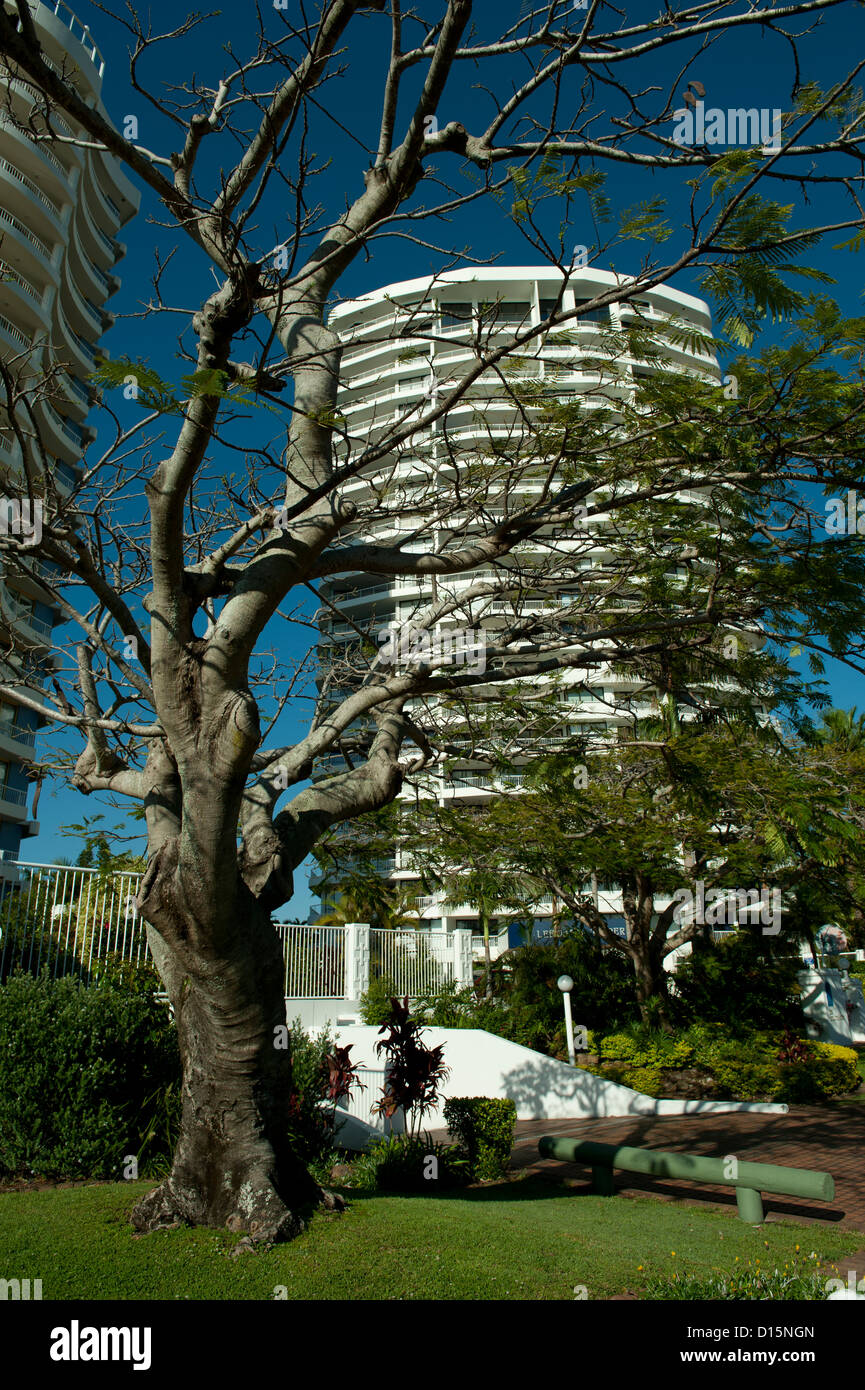 High rise building in Biggera Waters, Gold Coast, Queensland, Australia ...