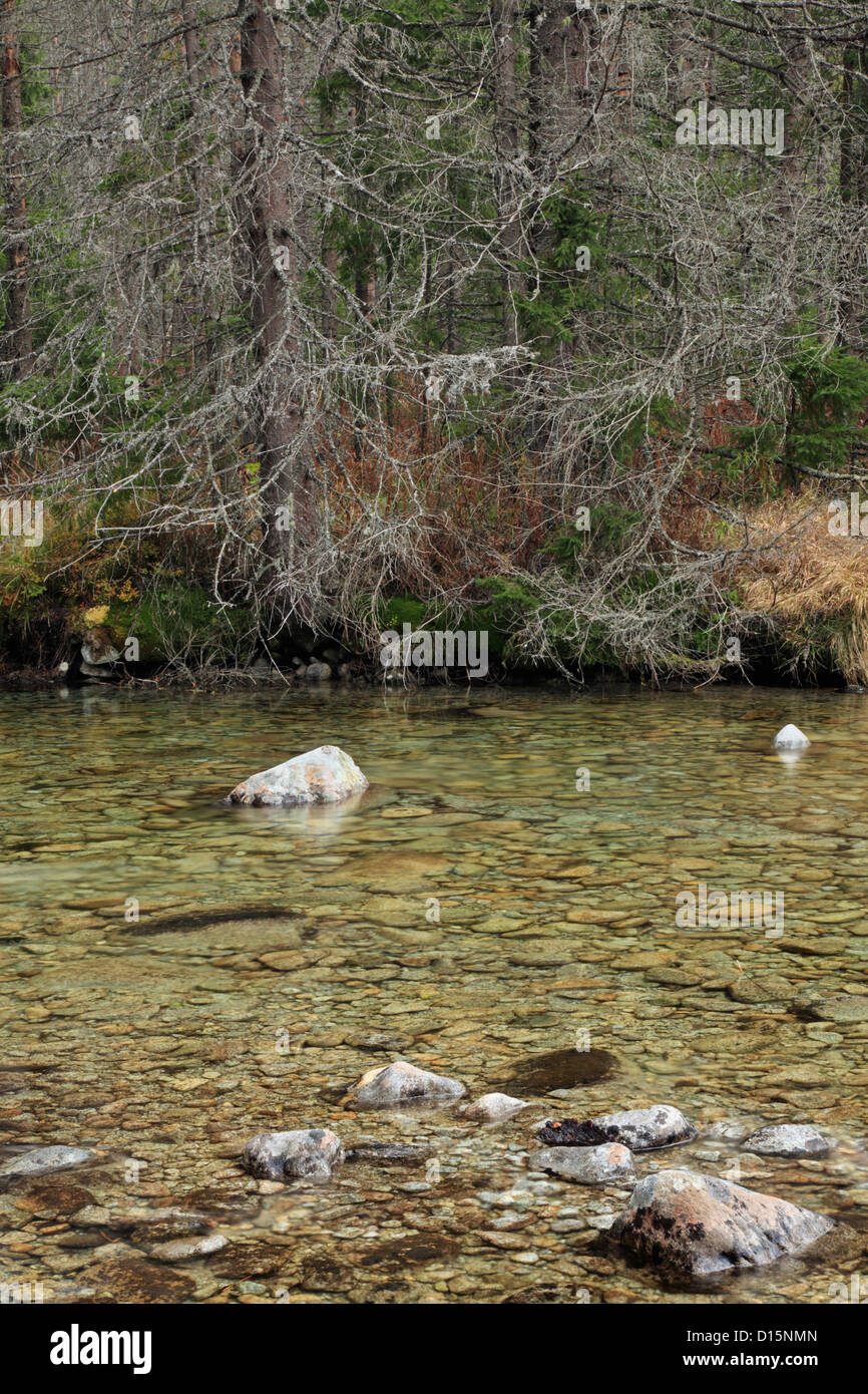 The river known as Studeny Potok in the Tatras Mountains region of ...