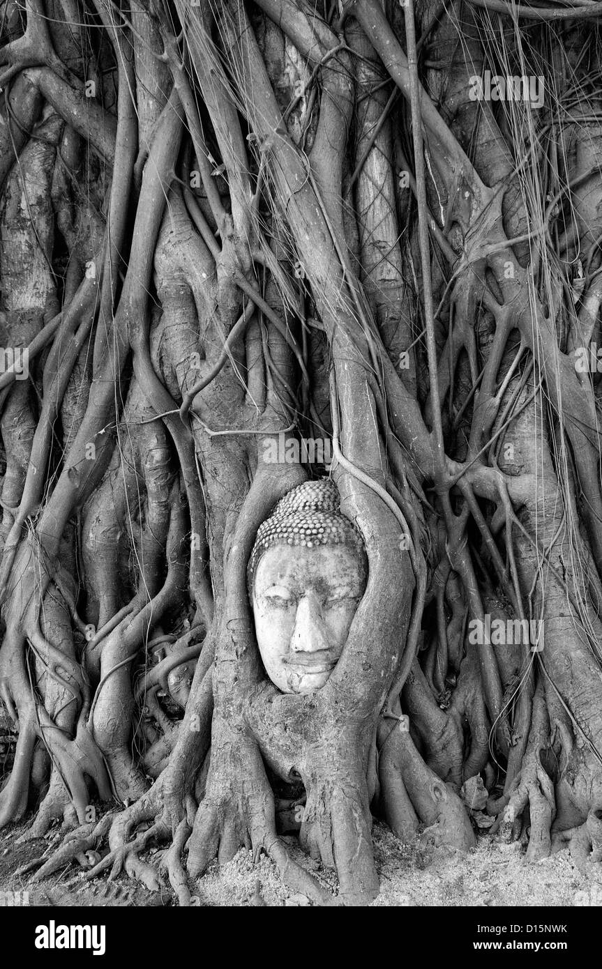 Encased stone hi-res stock photography and images - Alamy