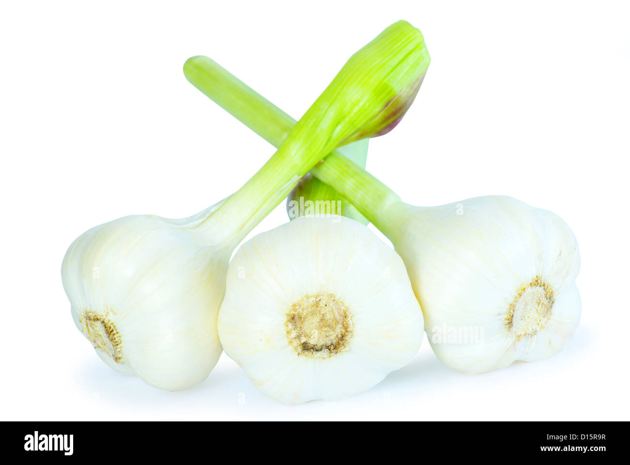 Garlic isolated on white background Stock Photo - Alamy