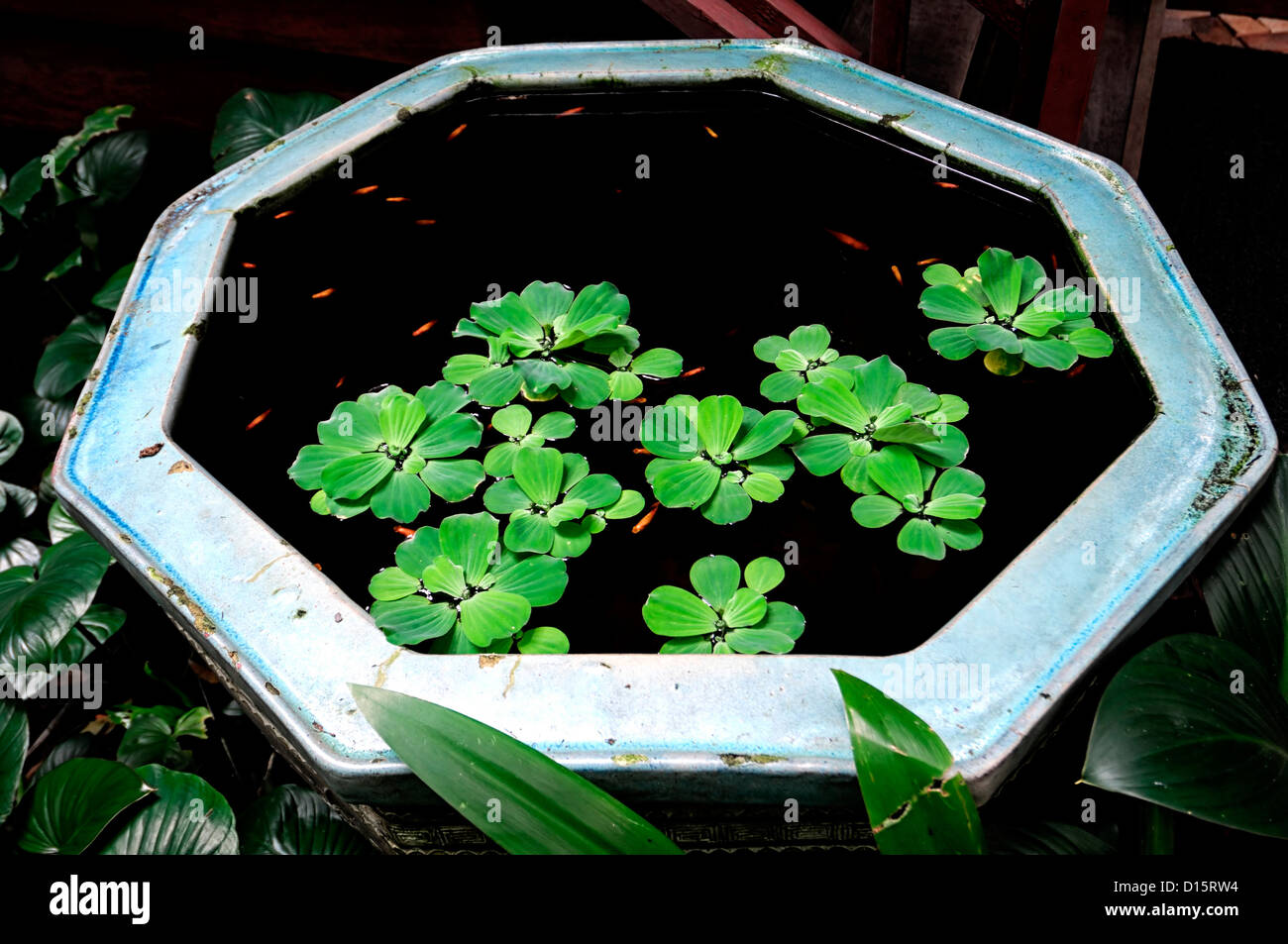 Jim Thompson house garden museum bangkok thailand tropical gardens ...