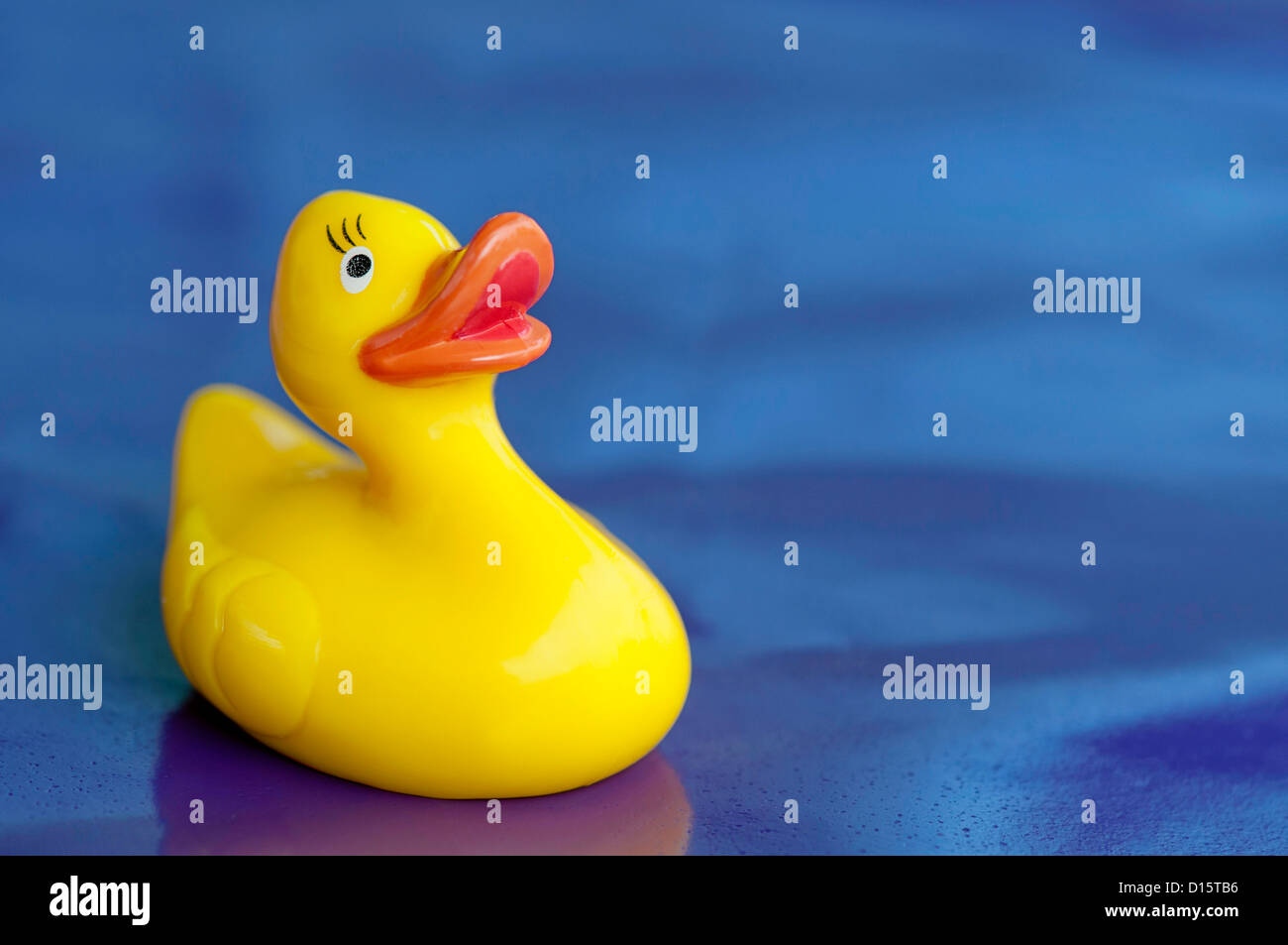 One yellow rubber duck smiling, isoltated on blue background Stock ...