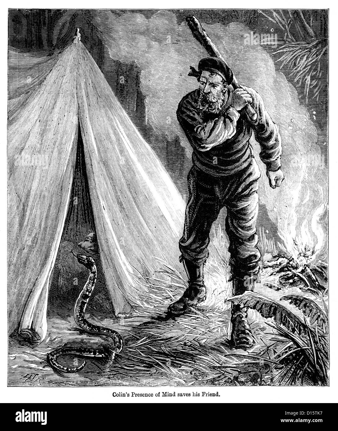 Victorian snake hi-res stock photography and images - Alamy