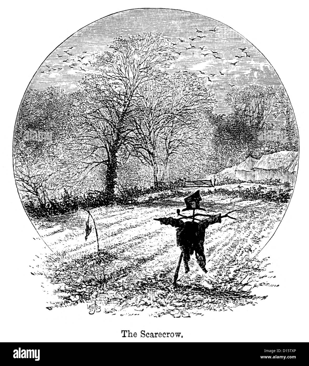 Victorian engraving of a Scarecrow , 1897 Stock Photo - Alamy